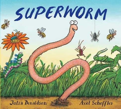 Superworm Gift Edition Board Book by Julia Donaldson | WHSmith