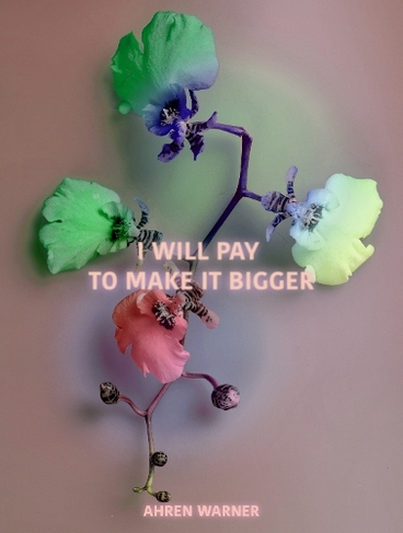 i will pay to make it bigger by Ahren Warner | WHSmith